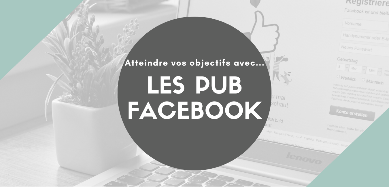 Les pub facebook, essayer c'est adopter ! - LES ZEBRES NOMADES Article ...